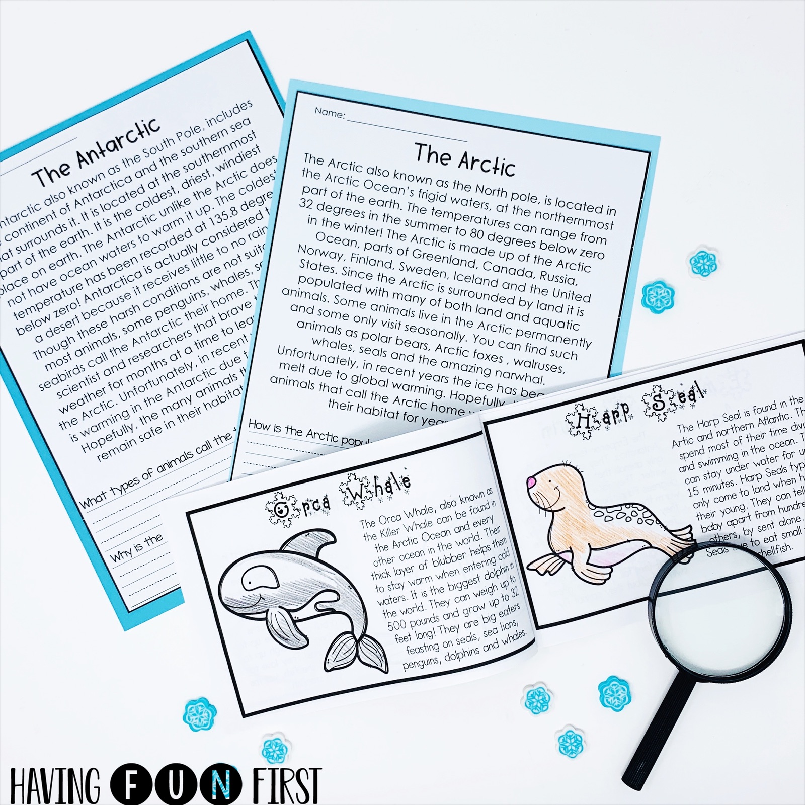 Take a Glimpse into My Favorite Arctic Activities and Bring Polar ...